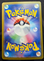 Shop[Japanese] Salamence ex / ボーマンダex 129/100 SAR – TCGHOBBY